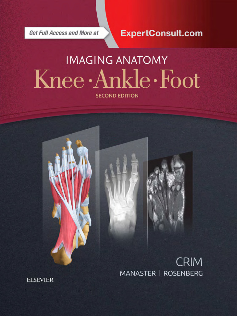(Imaging Anatomy) Julia Crim - Knee, Ankle, Foot.-Elsevier (2017) | PDF ...