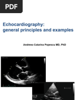 Echocardiography Basics and Techniques | PDF | Heart | Echocardiography