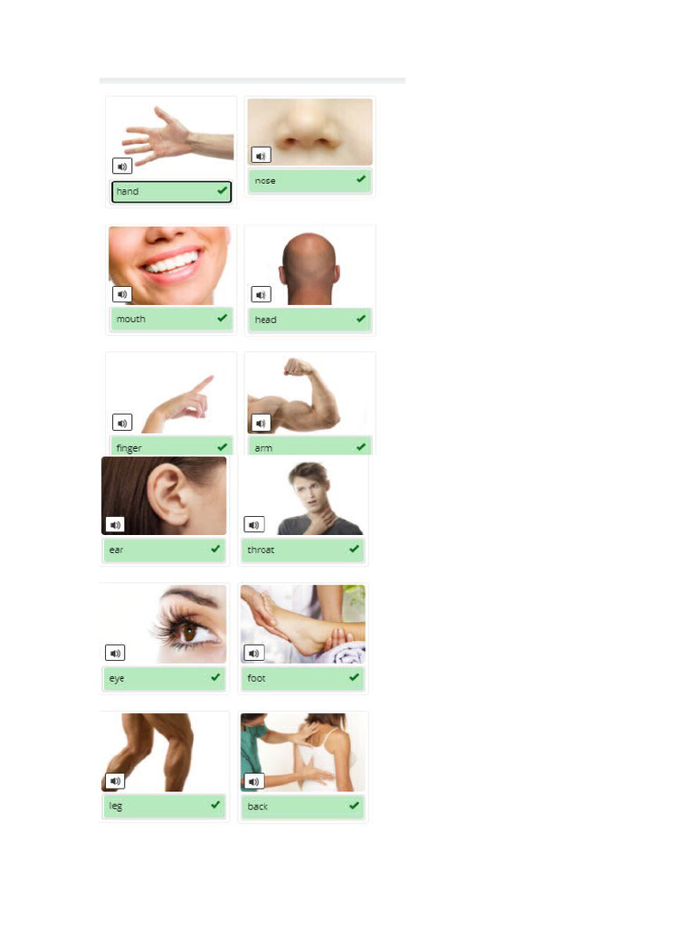 Parts of The Body | PDF