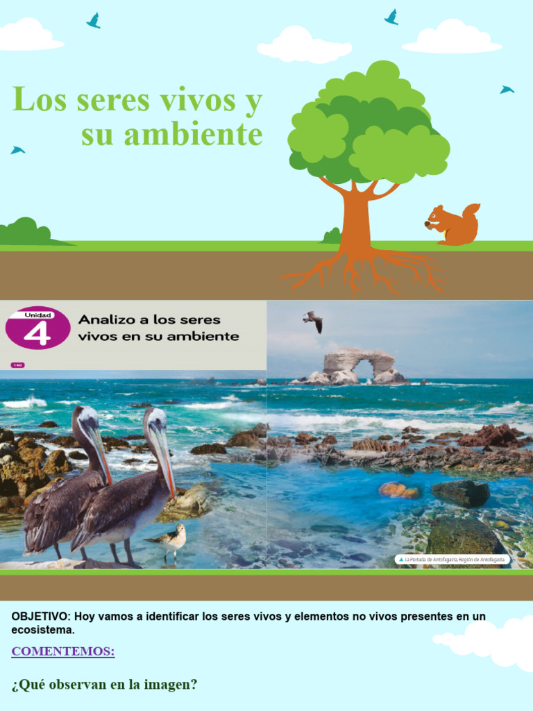 Los Seres Vivos y Su Ambiente | PDF