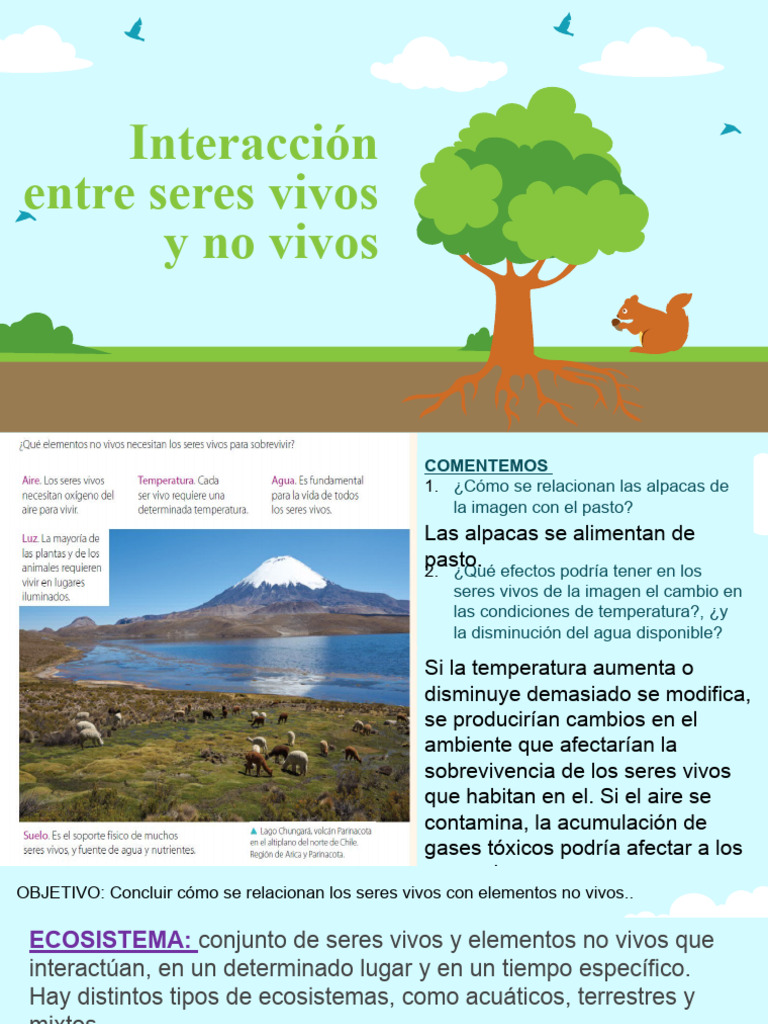 Interacción Entre Seres Vivos y No Vivos | PDF