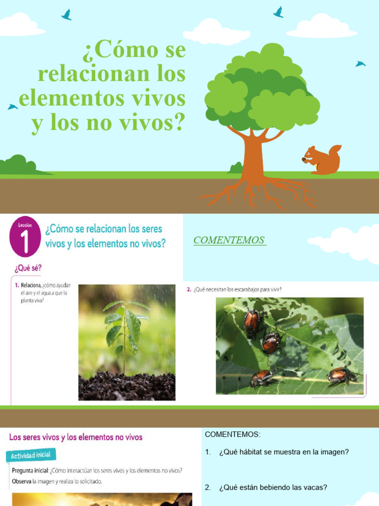 40 +seres+vivos+y+no+vivos | PDF