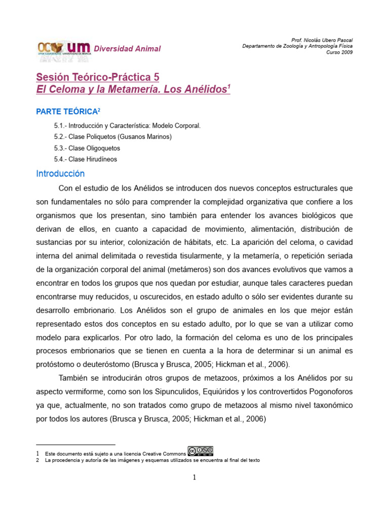 Celoma y Metamería - Anélidos | PDF | Protostomas