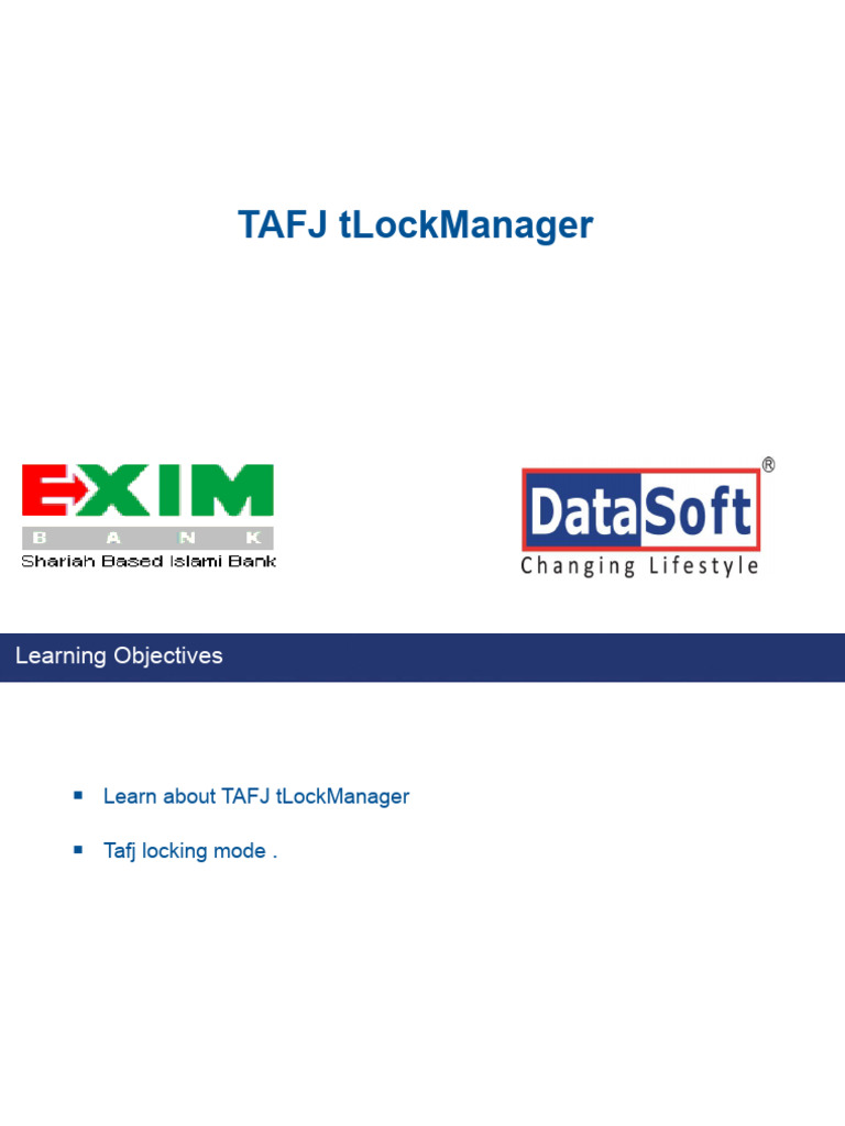 TAFJ tLockManager | PDF | Computer Data | Software