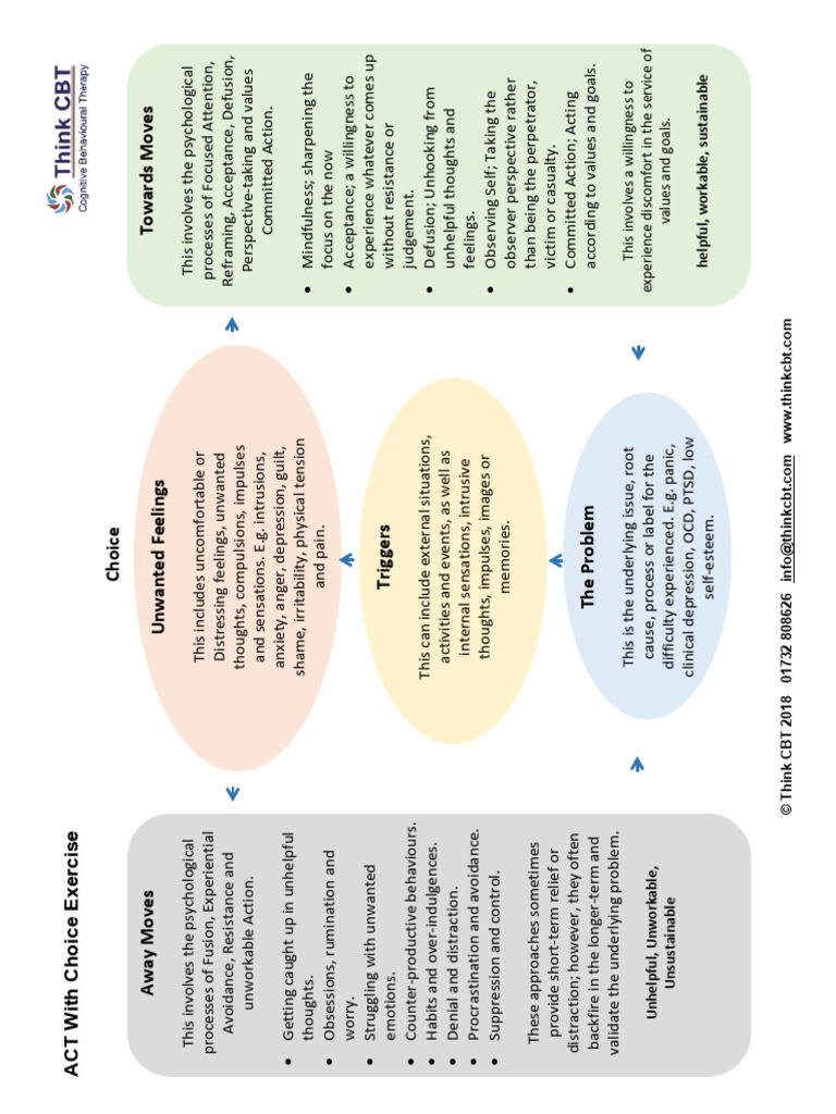 Choice Point Exercise | PDF | Obsessive–Compulsive Disorder | Feeling