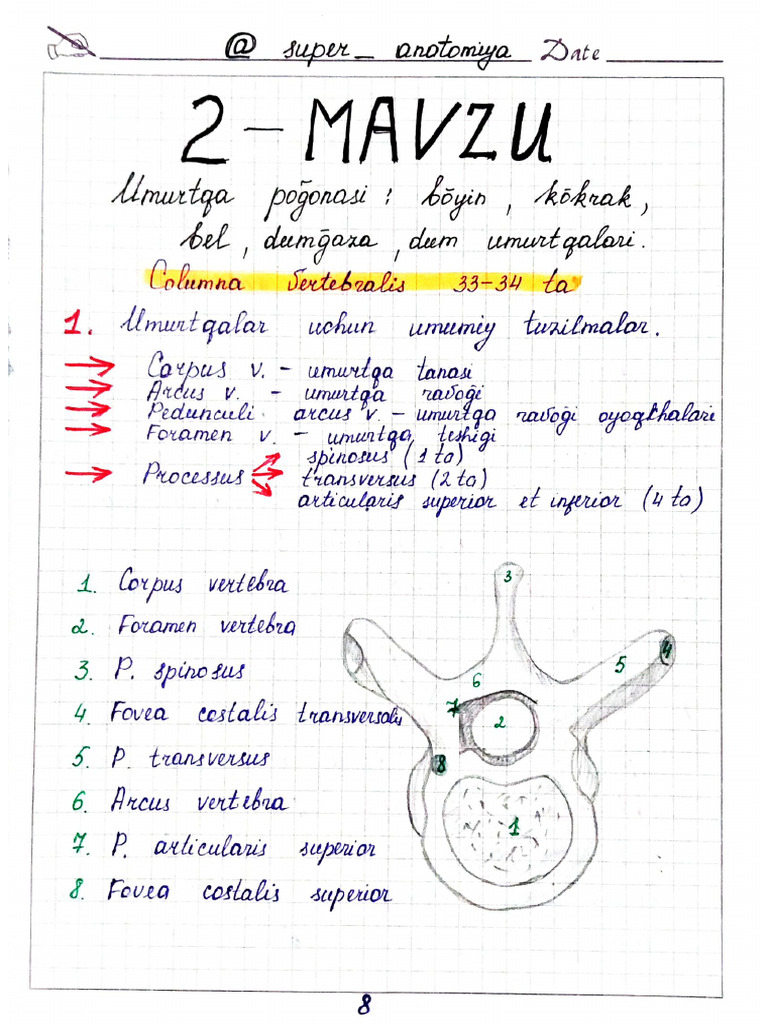 Konspekt 2-Mavzu | PDF