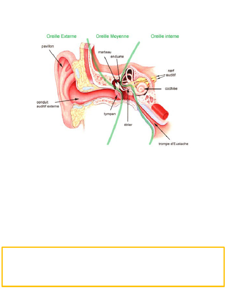 Affiches+Guide DOJO Bruit | PDF