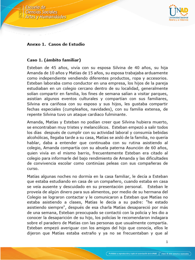 Anexo 2 - Casos de Estudio | PDF | Business