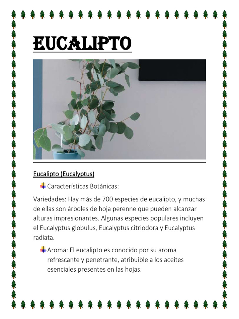 EUCALIPTO | PDF | Eucalipto | Plantas