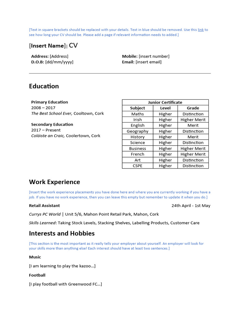 CV Template 1 | PDF
