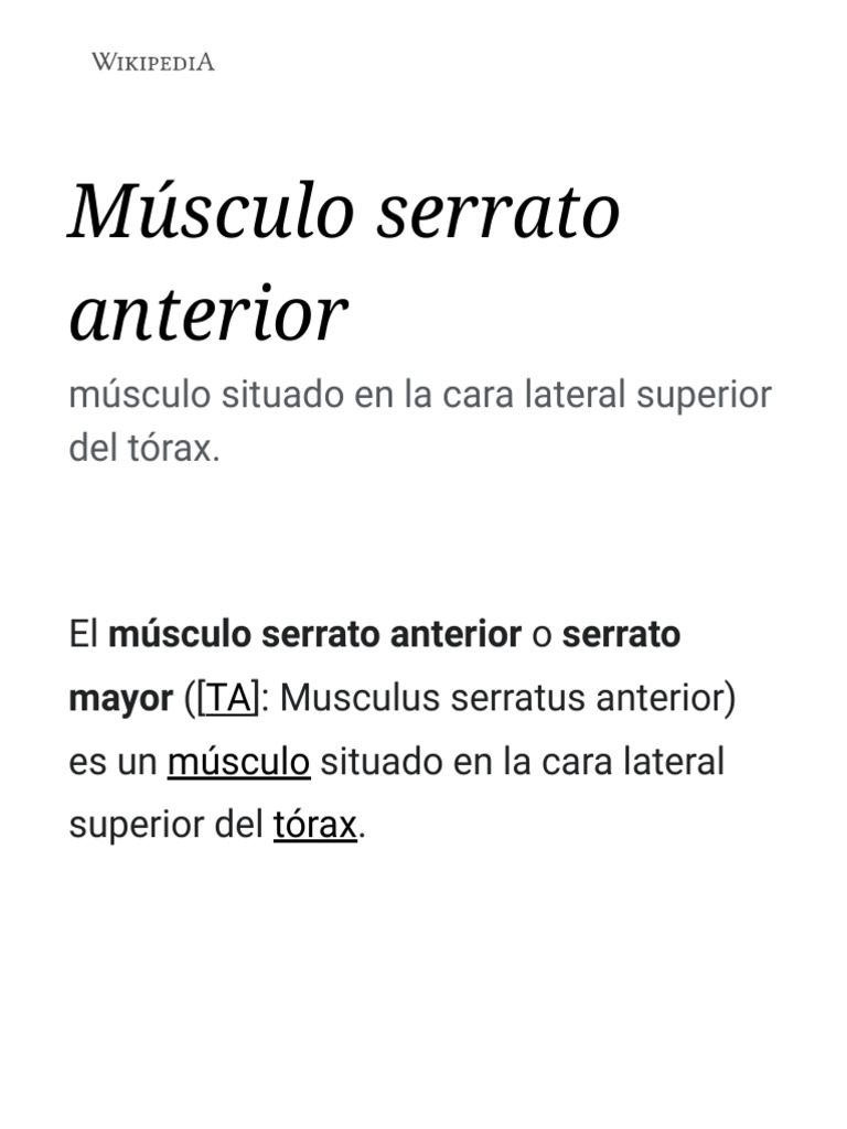Músculo Serrato Anterior - Wikipedia, La Enciclopedia Libre | PDF ...