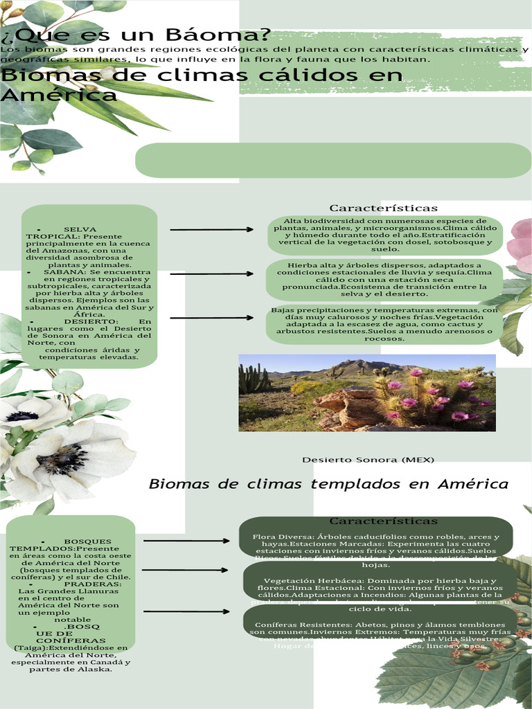 Los Biomas | PDF | Clima templado | Desierto