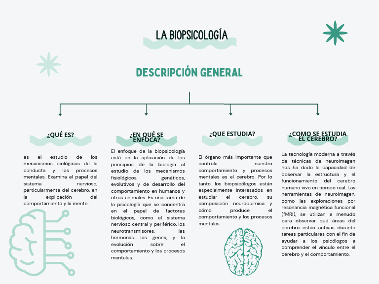 Mapa Conceptual | PDF | Mente | Neurociencia conductual