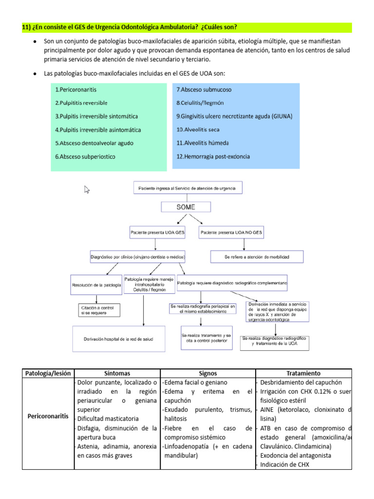 Resumen Prueba Teorica Fin de Ciclo | PDF | Enfermedades y trastornos | Especialidades Medicas