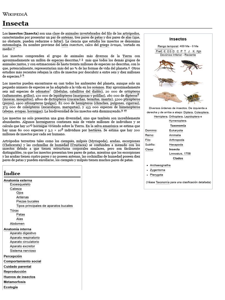 Diversidad y Anatomía de Insectos | PDF | Insectos | Huevo