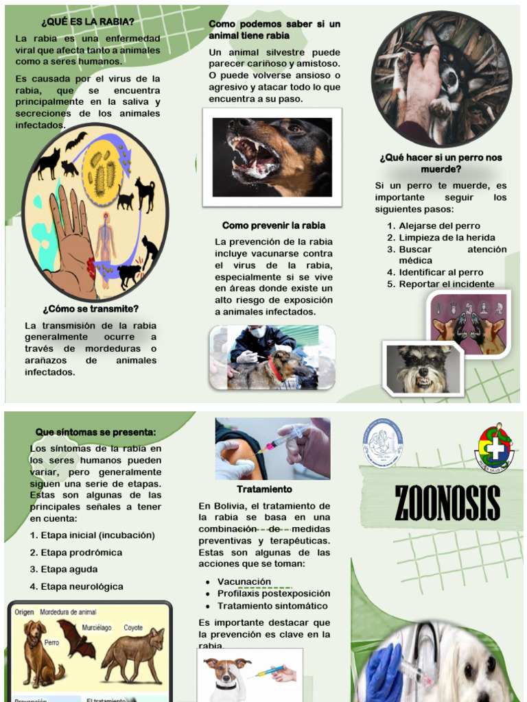 ZOONOSIS | Descargar gratis PDF | Rabia | Epidemiología