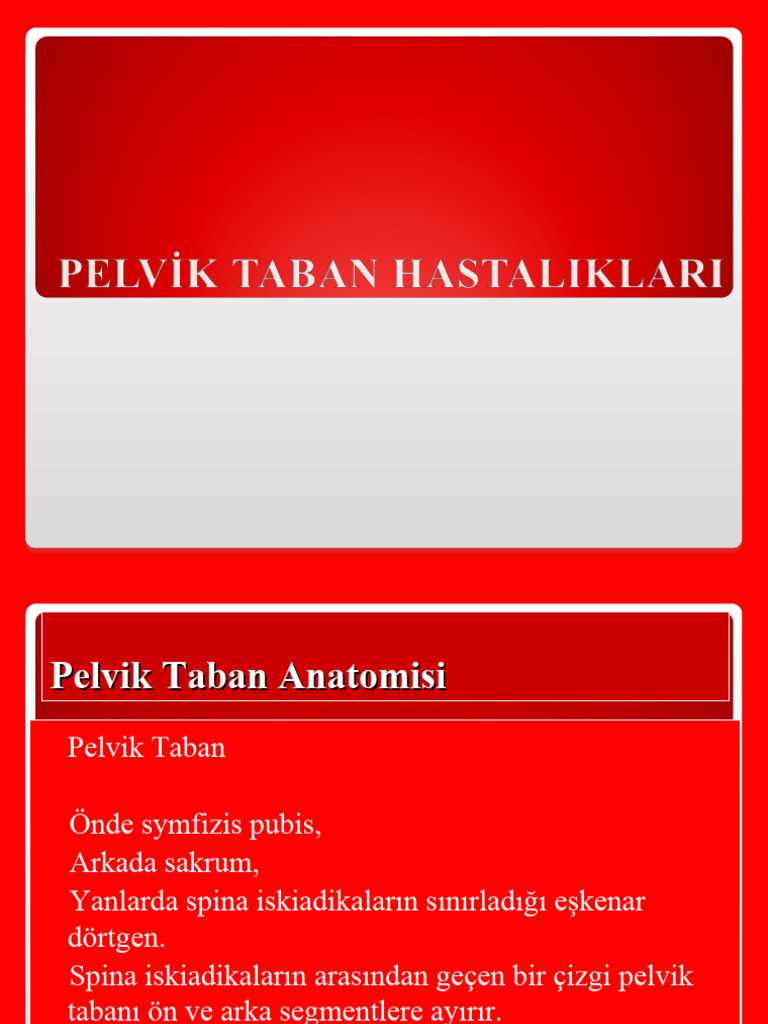 Pelvik Taban Hastaliklari | PDF