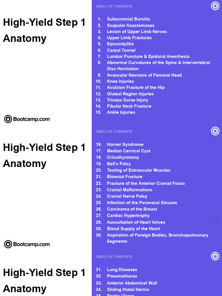 High Yield Step 1 Anatomy Download Free Pdf Human Leg Knee