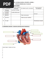 Modul Ajar Ipa Sistem Peredaran Darah | PDF