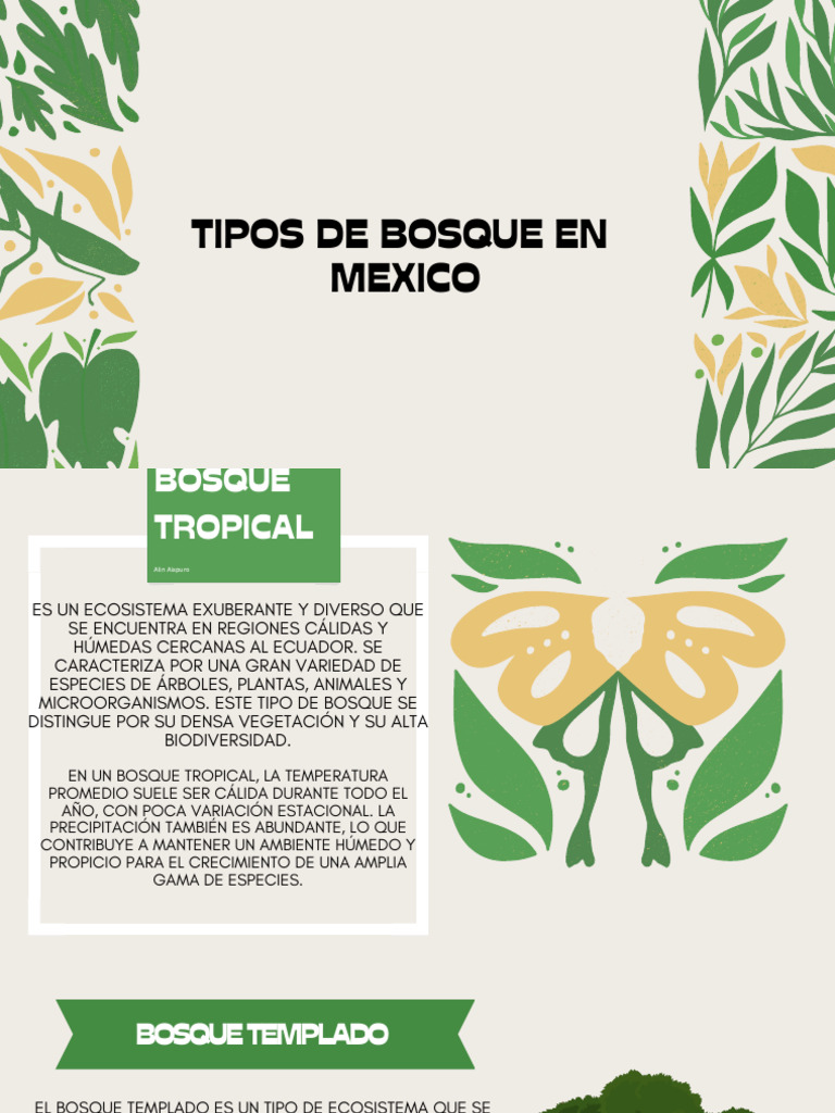 Green Organic Project Presentation | PDF | Los bosques | Clima templado