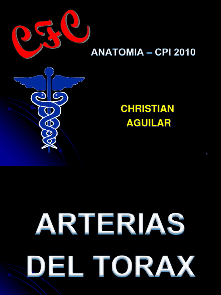 Anatomía de la Aorta y sus Ramas | PDF | Aorta | Morfología (biología)