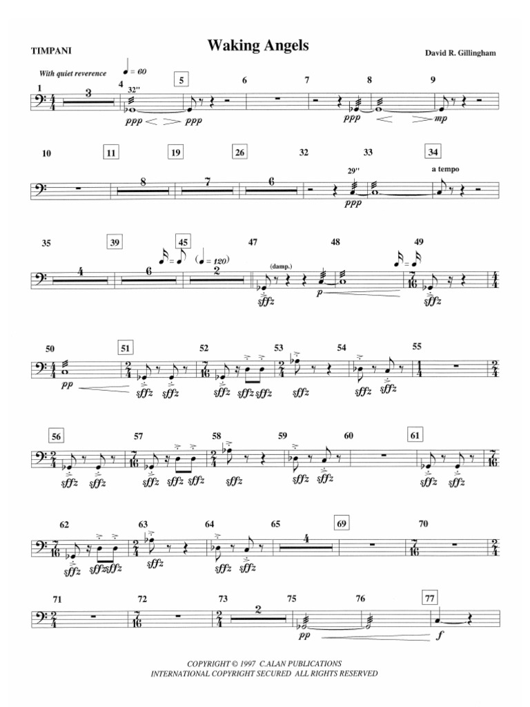 Walking Angels | PDF