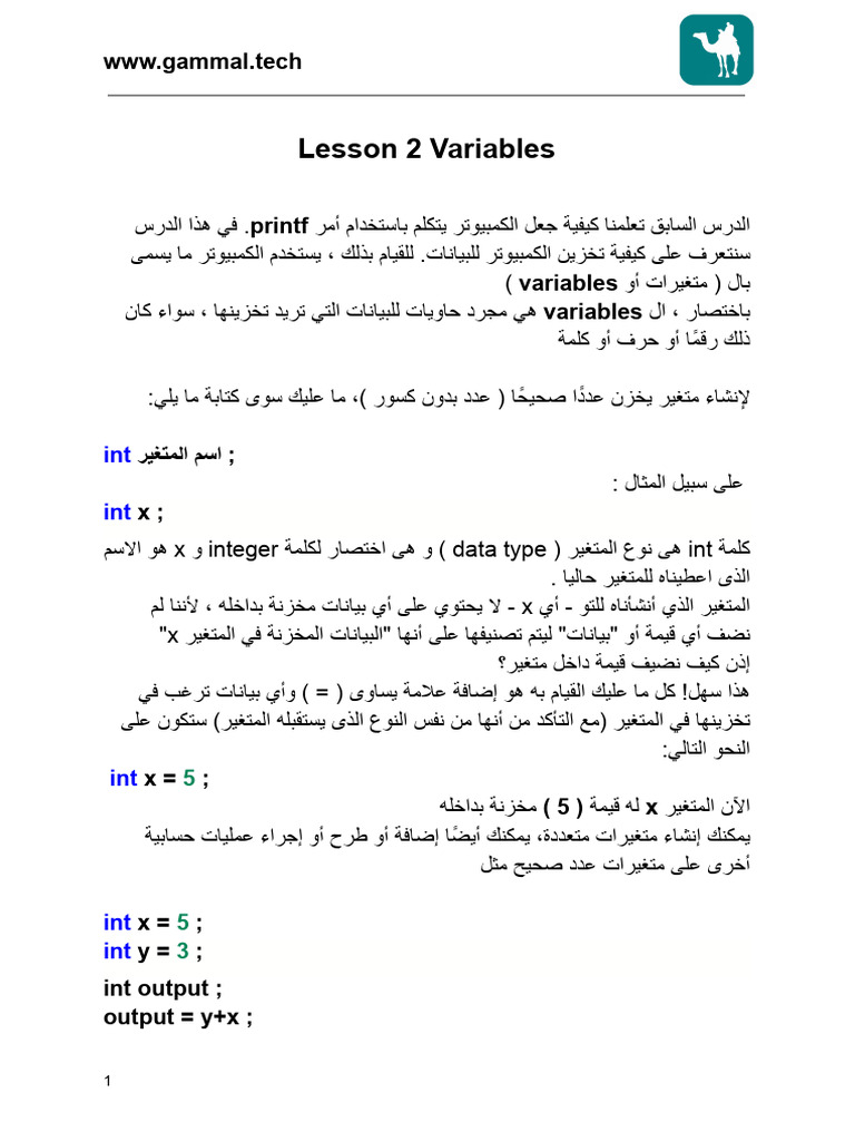 1-Lesson 2 Variables | PDF