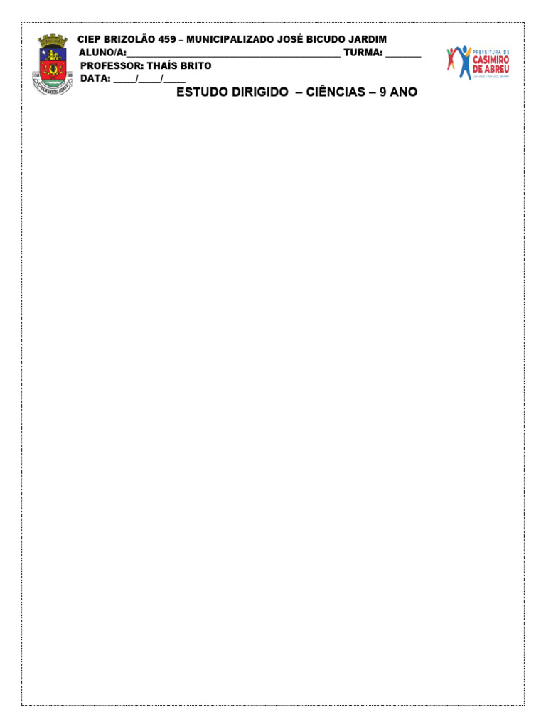 modelo-459-pdf