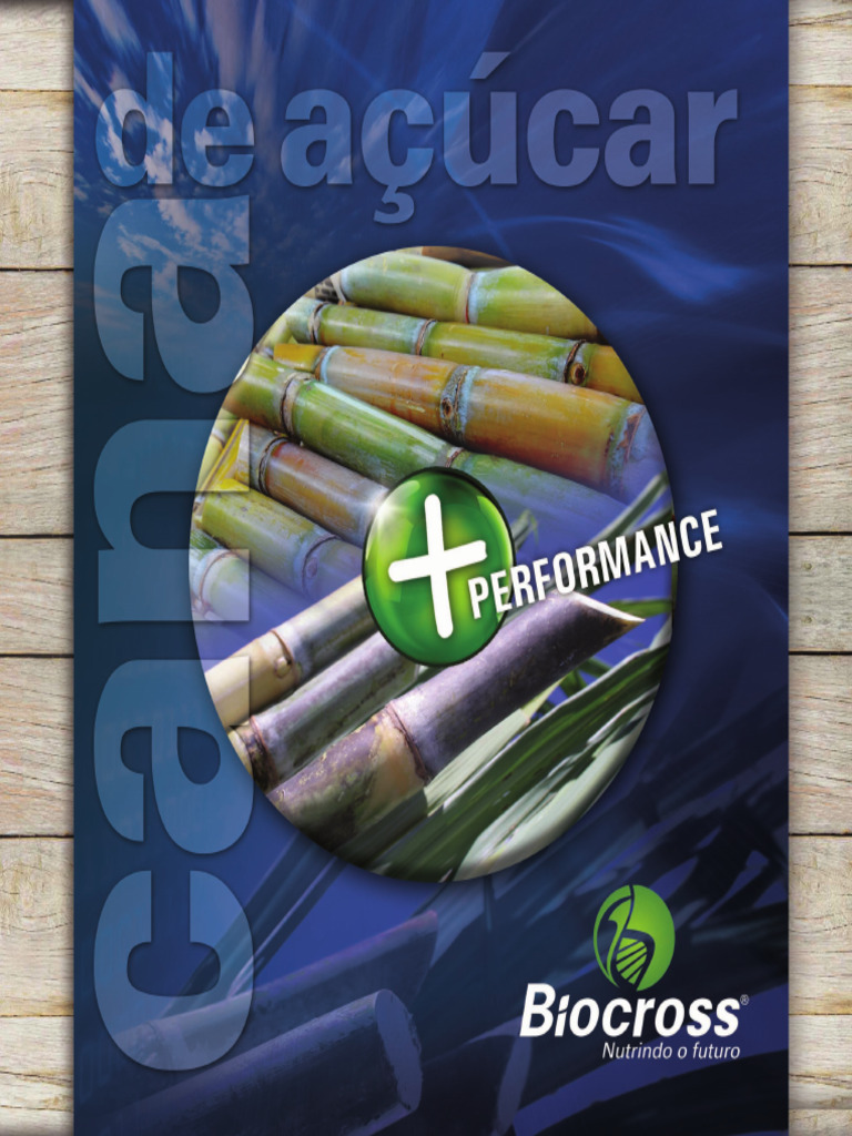 Catálogo Cana-De-Açúcar - Biocross Do Brasil | PDF