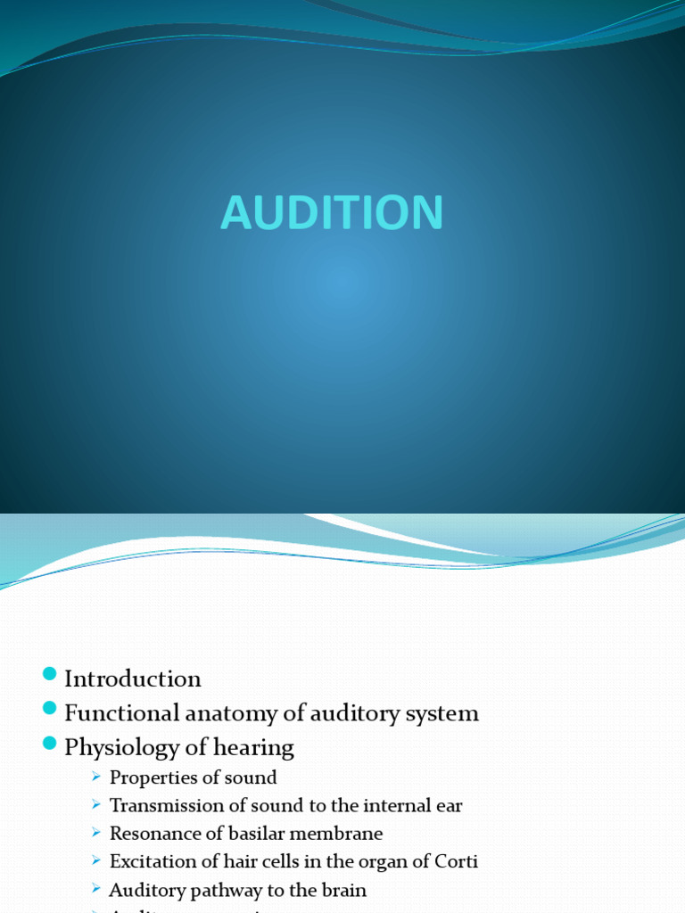 Audition | PDF | Ear | Auditory System