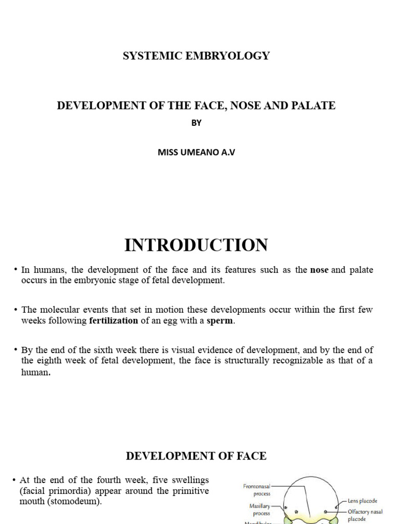 Systemic Embryology Development of The Face, Nose and Palate | PDF ...