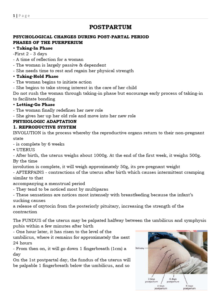 POSTPARTUM | PDF | Menstruation | Childbirth