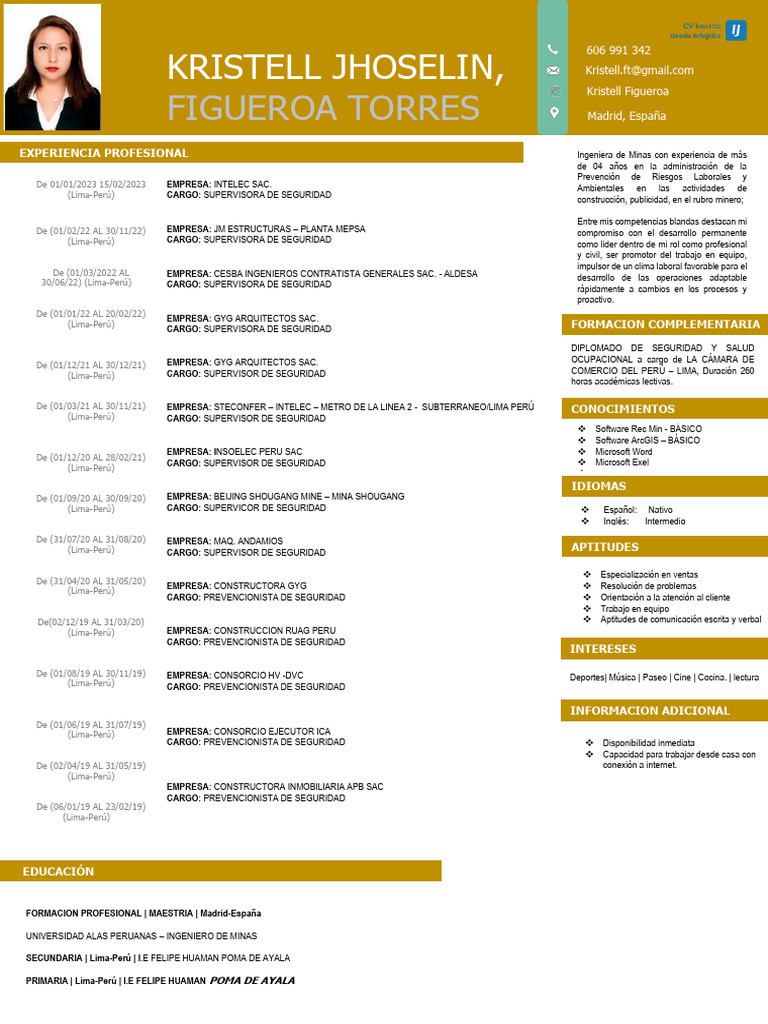 Curriculum Vitae Kristell Figueroa Torres 2023 | PDF