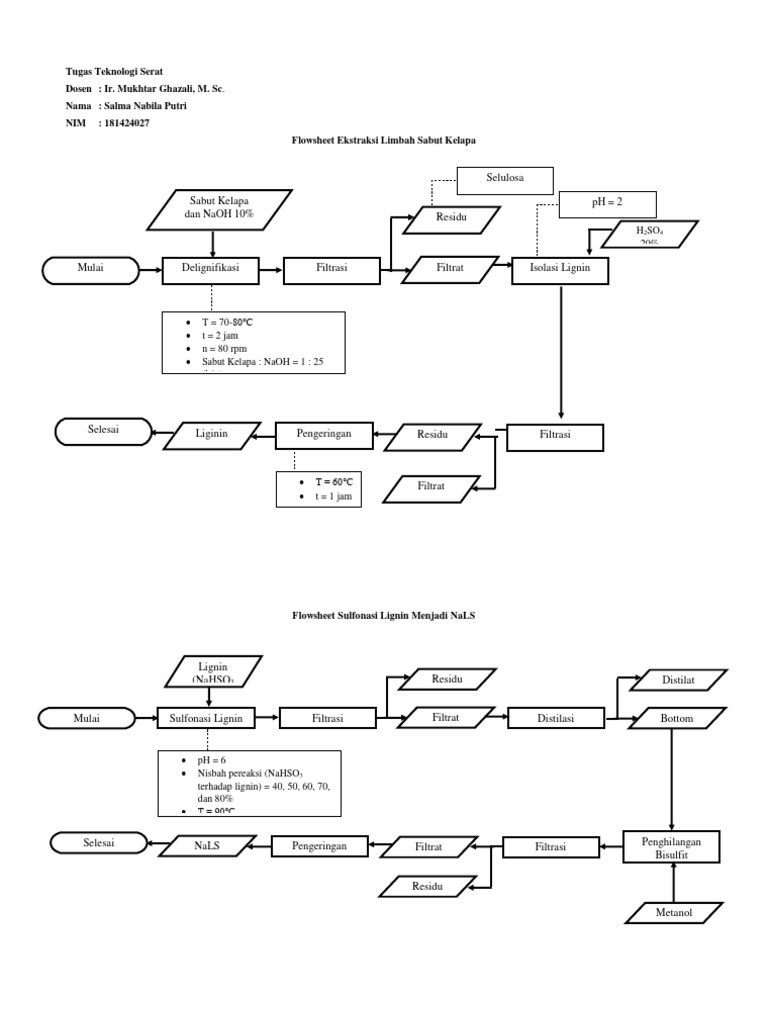 Tugas 3 Flowsheet NaLS - Salma Nabila Putri - 4TKPB | PDF