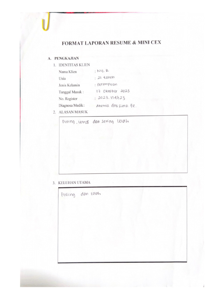 Mini Cex 1 Pdf