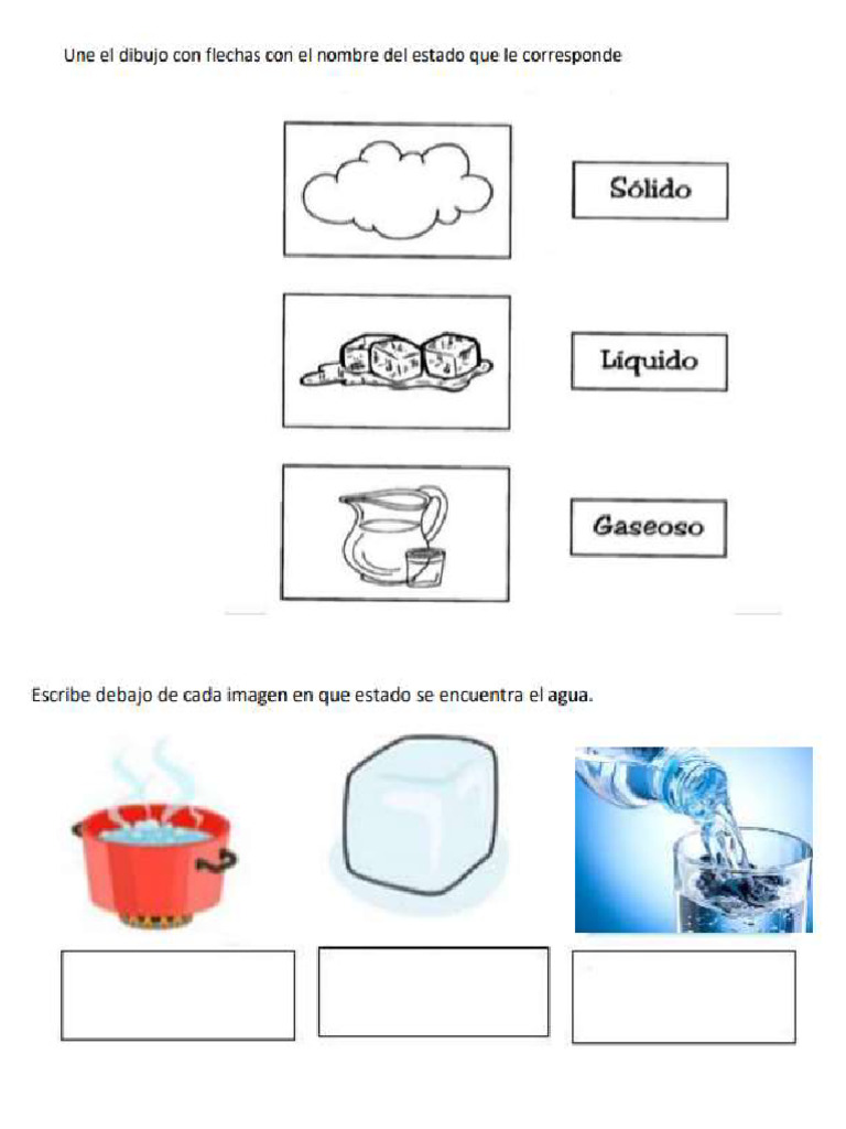 Actividad 2do Básico | PDF
