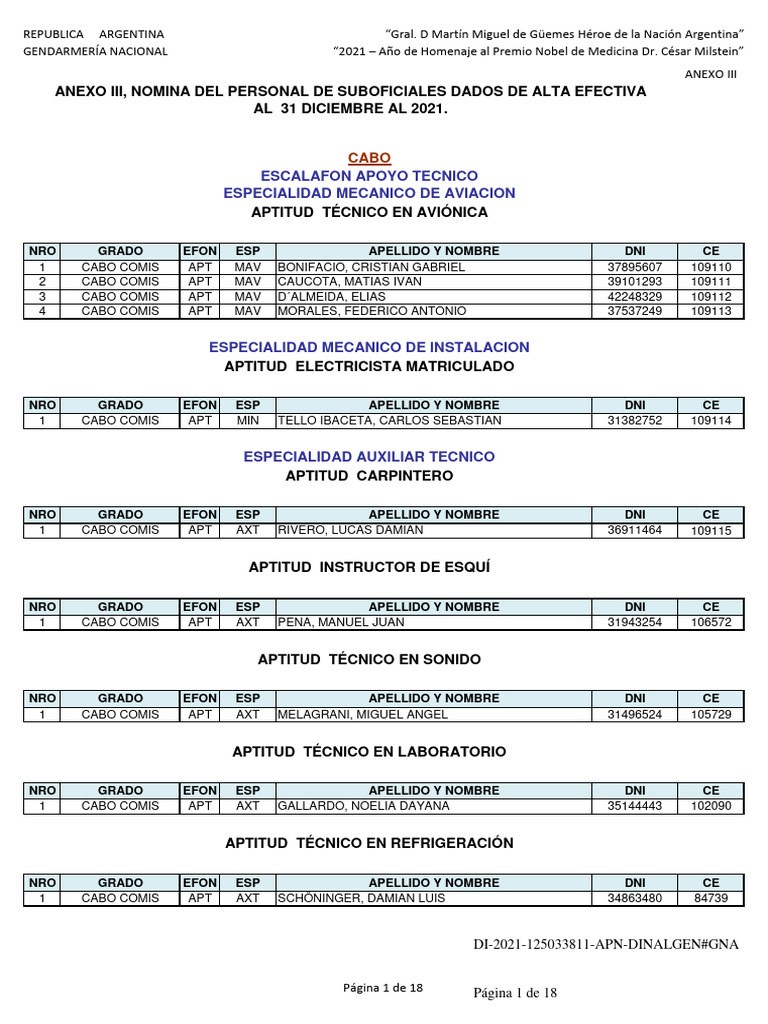 Di 2021 125033811 Apn Dinalgen%gna | PDF