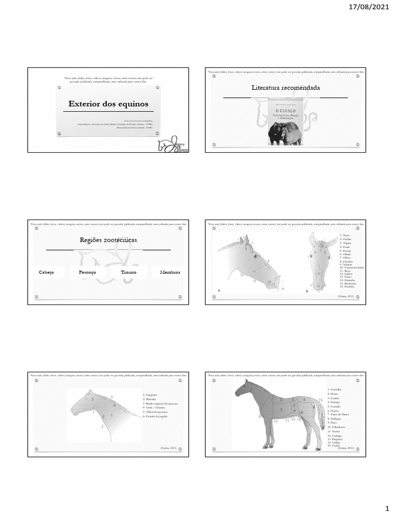 Exterior Dos Equinos | PDF