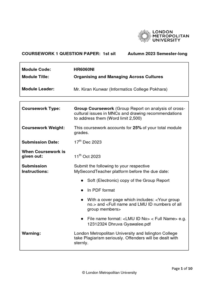 Cross-Cultural Management Report Guidelines | PDF | Citation | Information