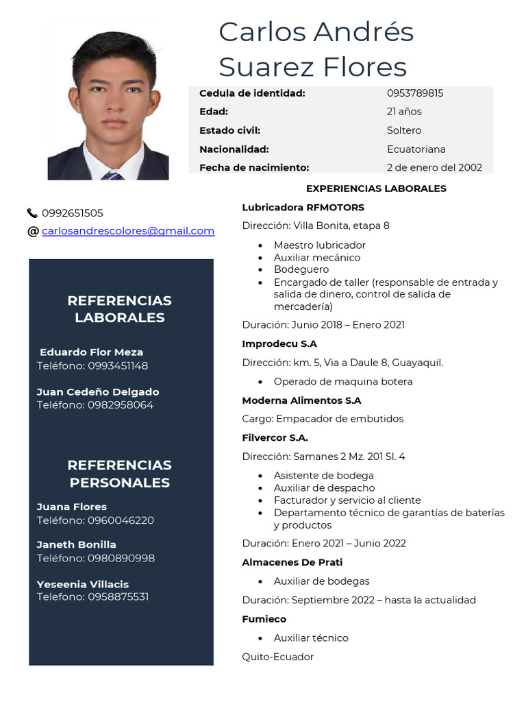 CV Carlos Andres | PDF