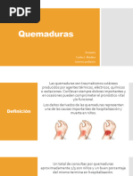 Regla de Los 9 | PDF | Quemar | Enfermedades y trastornos humanos