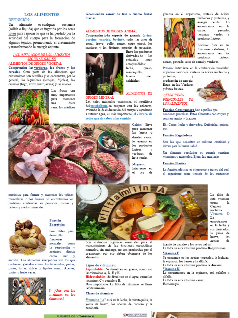 Clasificación de Alimentos para Niños | PDF | Alimentos | Vitamina