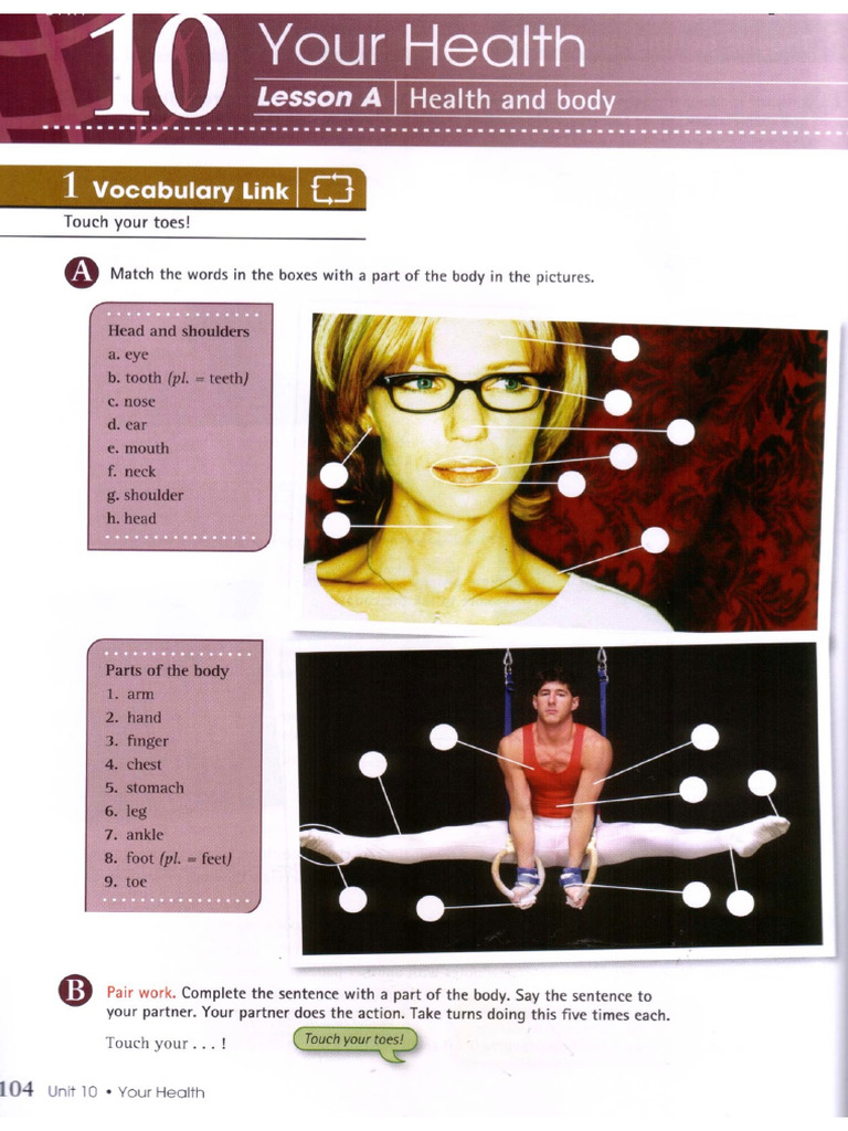 Lesson 13 - Health | PDF Lesson 13 - Health | PDF