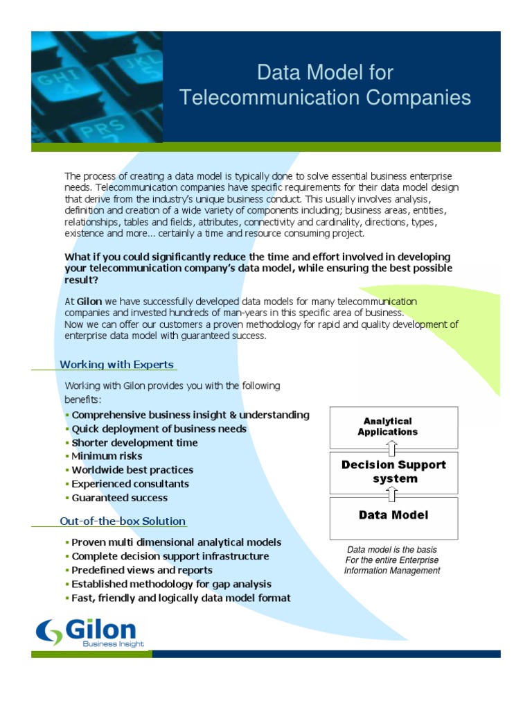 Telco Model Datasheet | PDF | Data Model | Profit (Accounting)