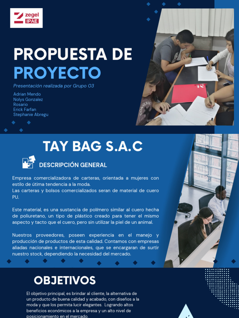 Propuesta de Proyecto TAY BAG S.A.C. | PDF | Business | Economias