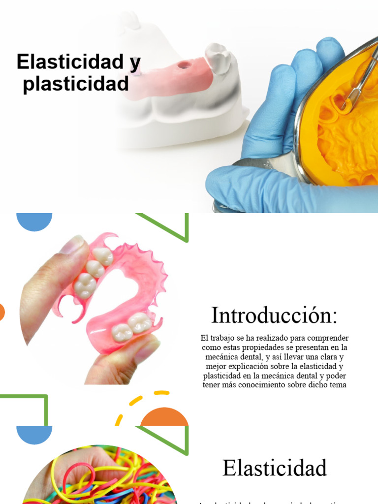 Elasticidad y Plasticidad | PDF