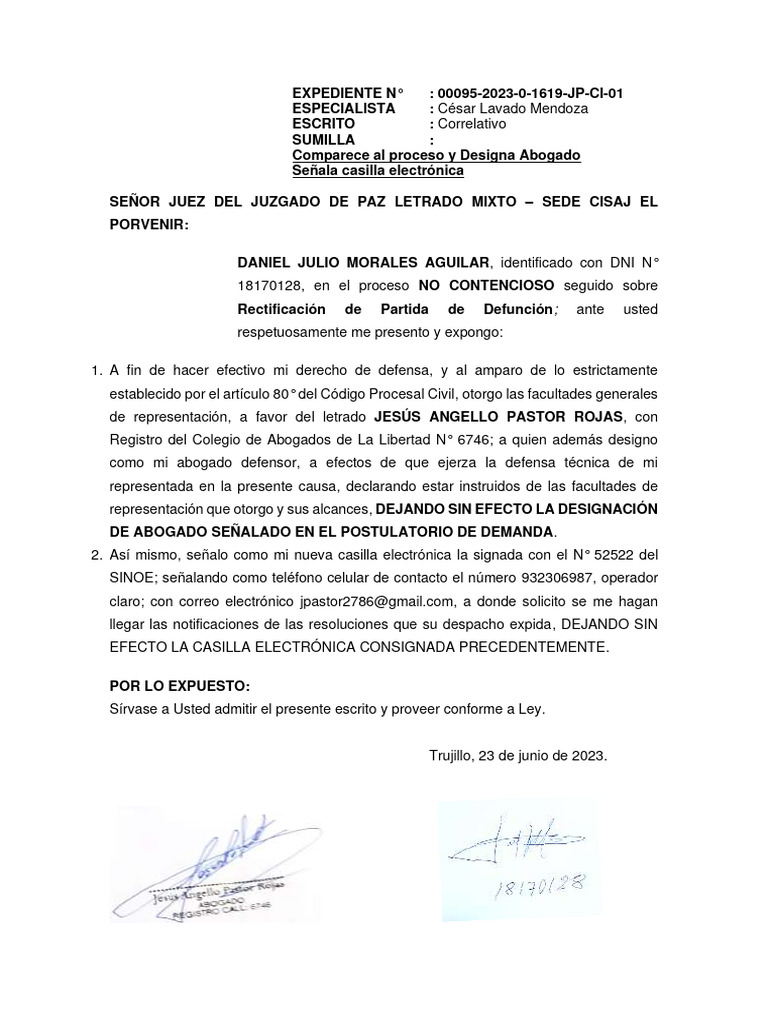 Designa Abogado. Daniel Morales. RPD | PDF