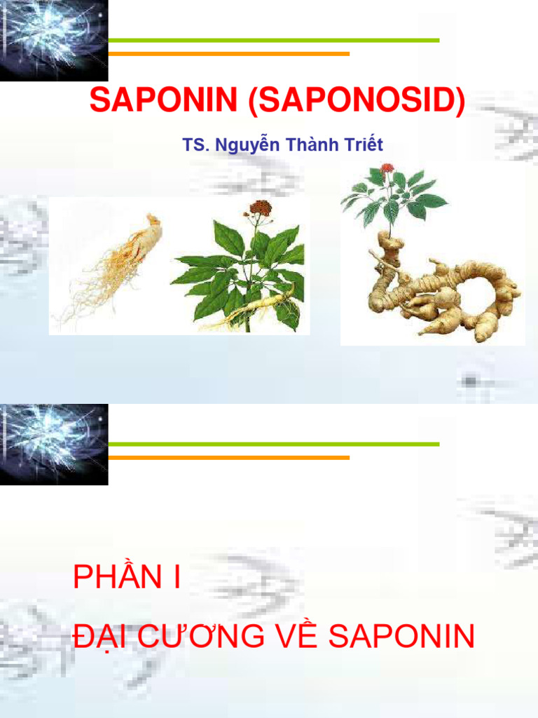 Saponin 2023 | PDF