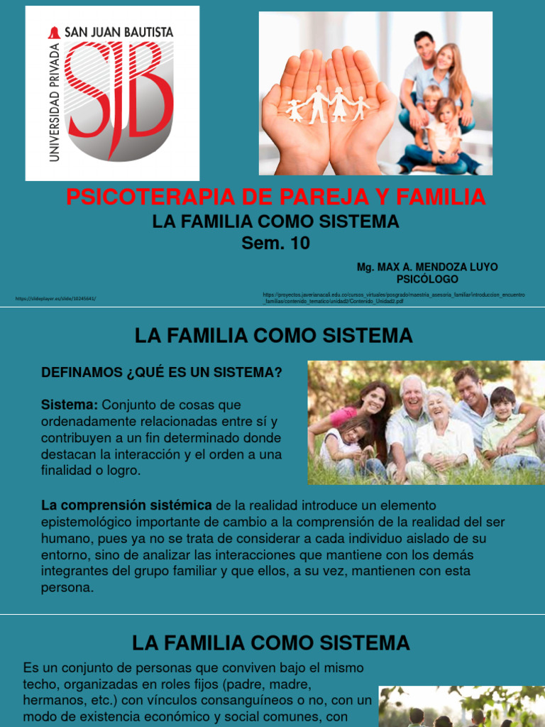 La Familia Como Sistema | PDF | Sistema | Realidad