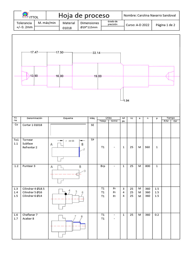 Hoja de Procesos Carolina | PDF